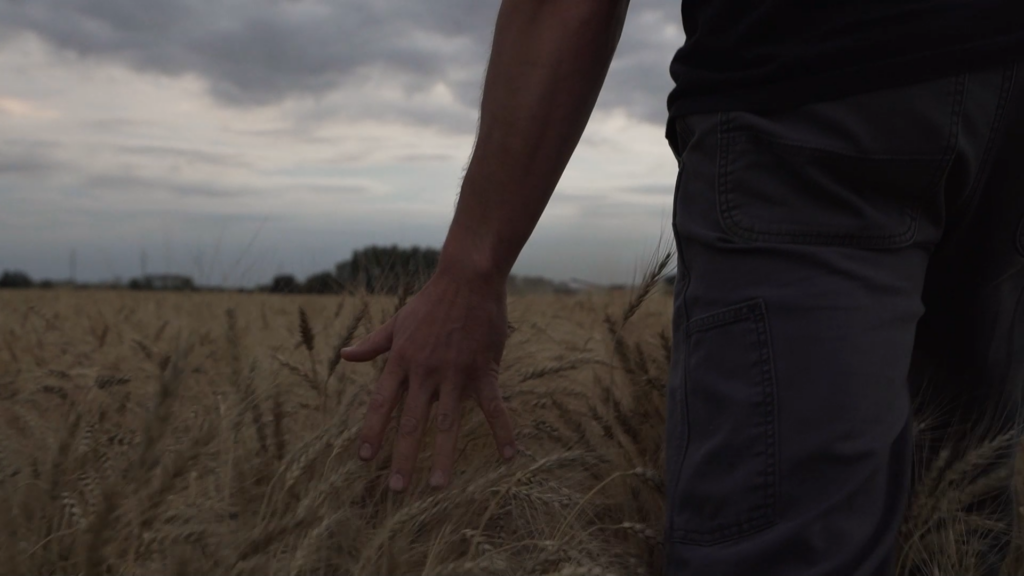 GrainHenge - Troubled Monk Brewery